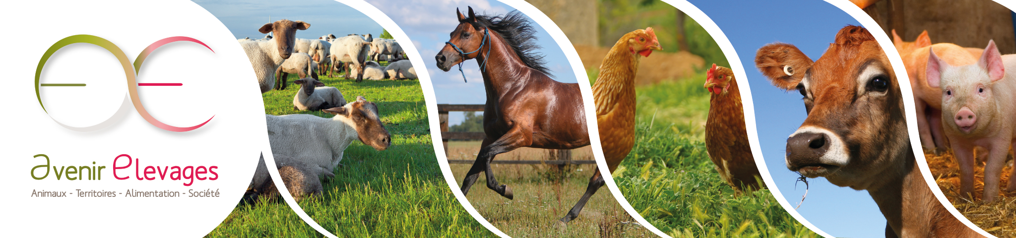 Accueil - Présentation du GIS